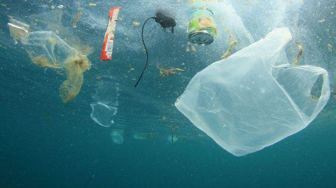 Deputații europeni susțin reducerea gunoiului marin din plastic ...
