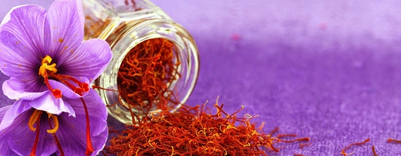 Cultura de şofran poate fi o afacere de succes, cu valori ridicate ...