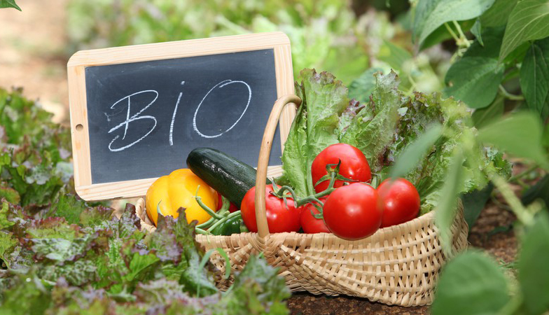 Produsele bio au devenit un adevărat trend! - Cotidianul Agricol