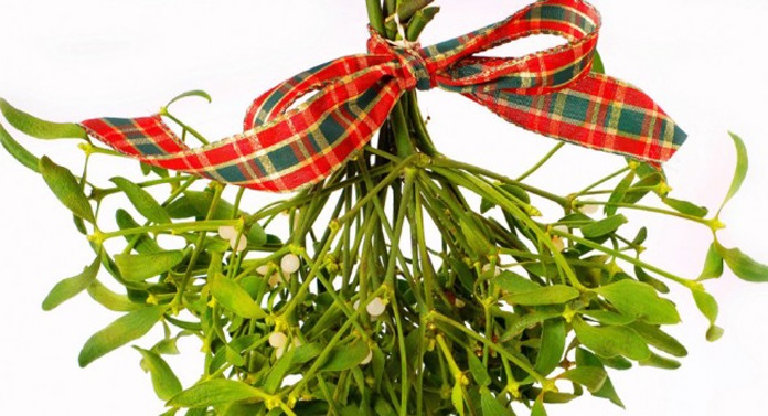 Povestea Vâscului, o continuitate a iubirii şi bunăstării! - Cotidianul ...