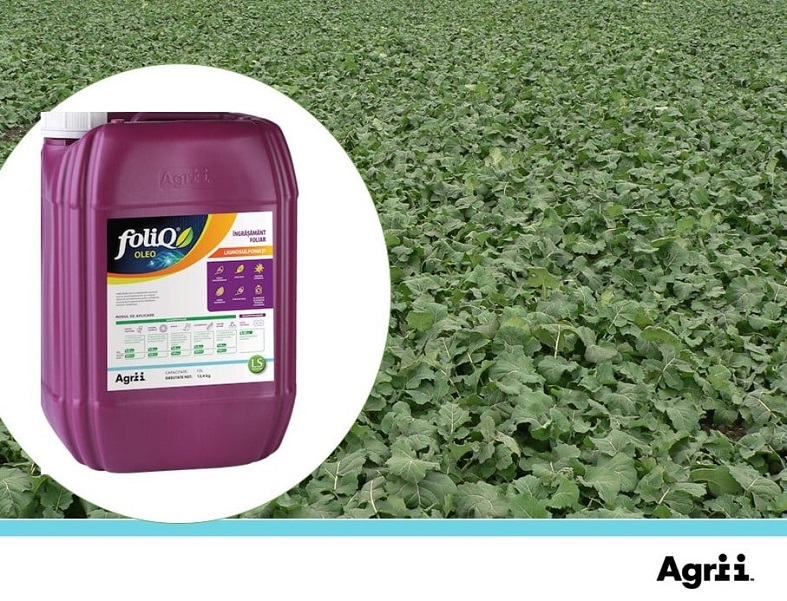 Campania FoliQ - Creșteți eficiența fertilizării foliare! - Cotidianul ...