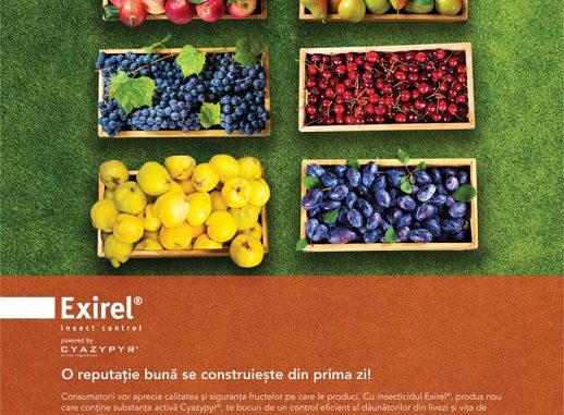 Asigurați-vă succesul afacerii cu insecticidul Exirel® de la FMC ...