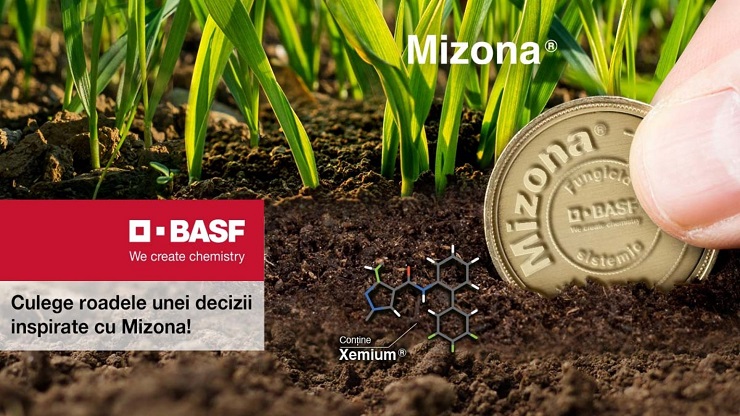 Mizona - Acțiunea FAST (Formula Activă în Spațiu și Timp) - Cotidianul ...