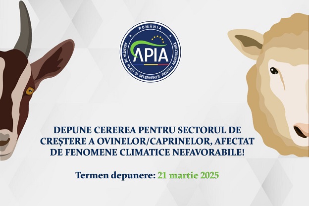 APIA primește cereri pentru sectorul de creștere a ovinelor/caprinelor ...