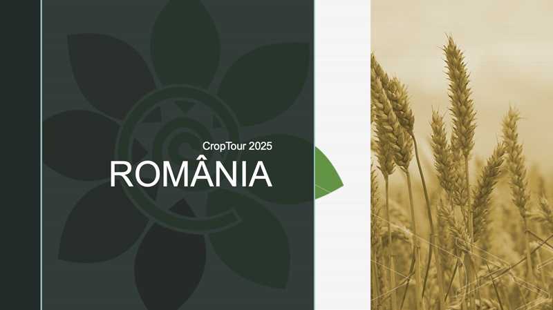 AgriPortal România lansează Crop Tour 2025 – Date reale pentru decizii ...
