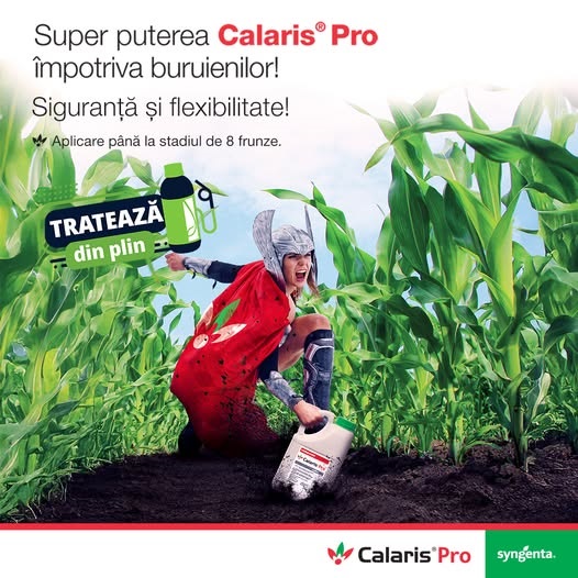 Calaris® Pro - Protejează cultura de porumb de principalele buruieni ...