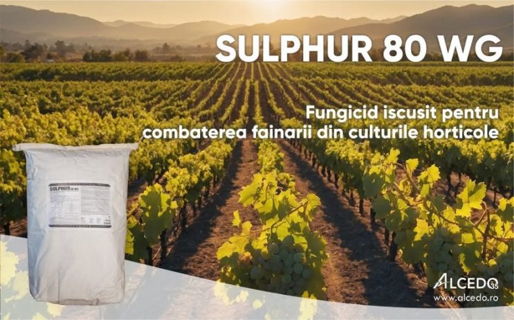 SULPHUR 80 WG – FungiciduI iscusit pentru combaterea făinării ...